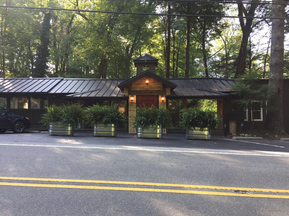 CALL ME CRAZY!!! – Isadora Popper