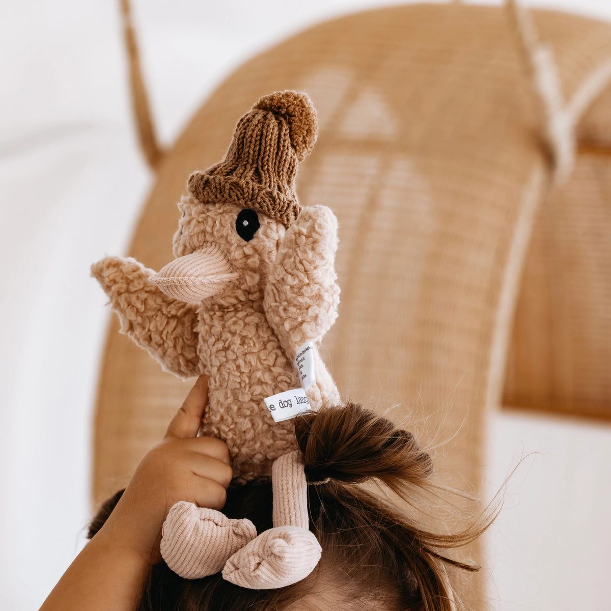 Poppy Duck | and the little dog laughed – Isadora Popper