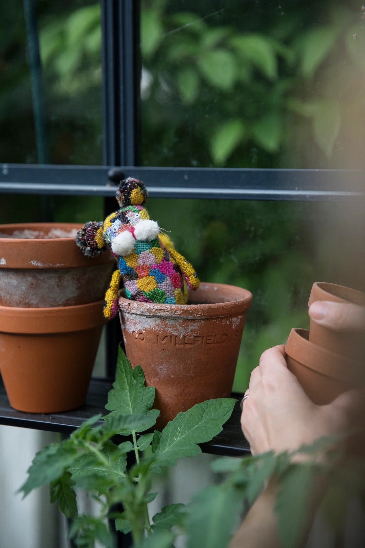 Tiny Friends by Tomomi Mimura | Laine Publishing – Isadora Popper